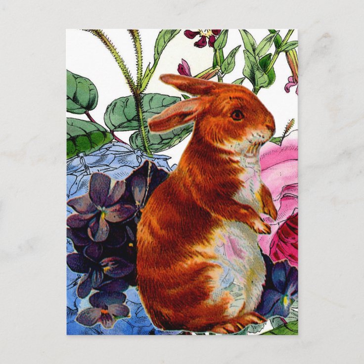 Vintage Story Book Bunny Postcard | Zazzle