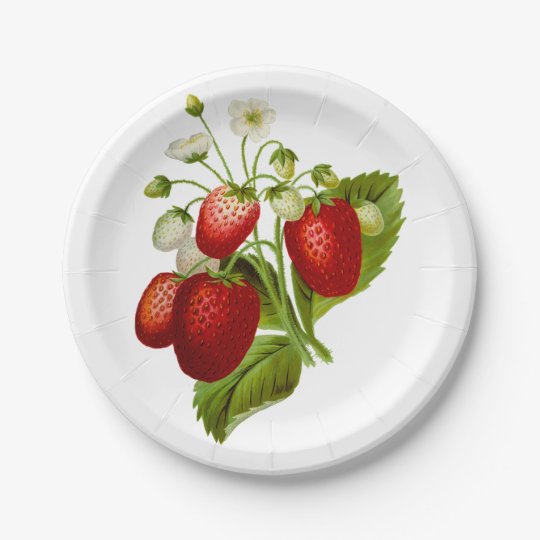 Vintage Strawberry. Paper Plates | Zazzle.com