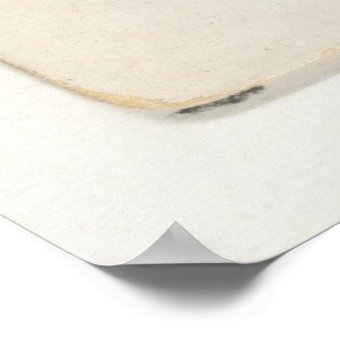 Vintage Striped Bass Illustration (1889) Poster | Zazzle