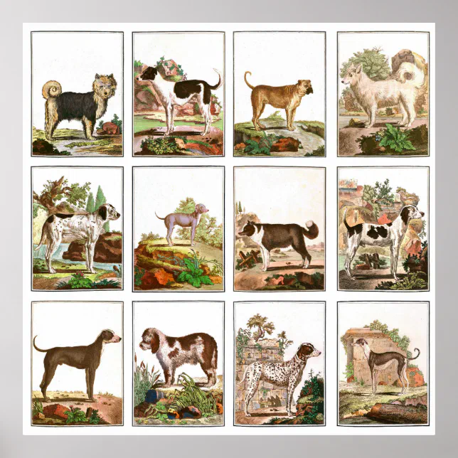 Vintage Style Dog Collage Poster | Zazzle