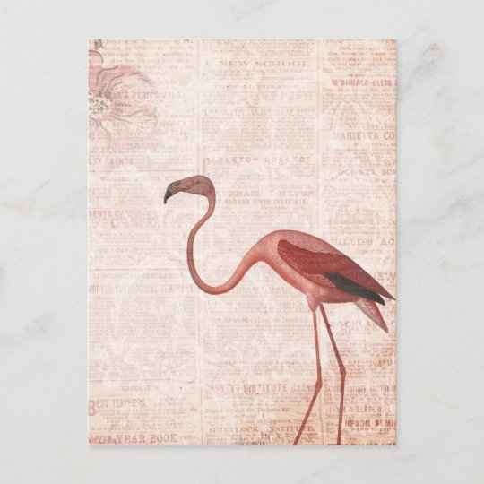 Vintage Style Pink Flamingo Postcard | Zazzle.com