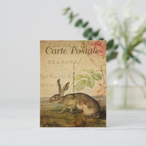 Vintage Style Rabbit French Carte Postale Postcard | Zazzle