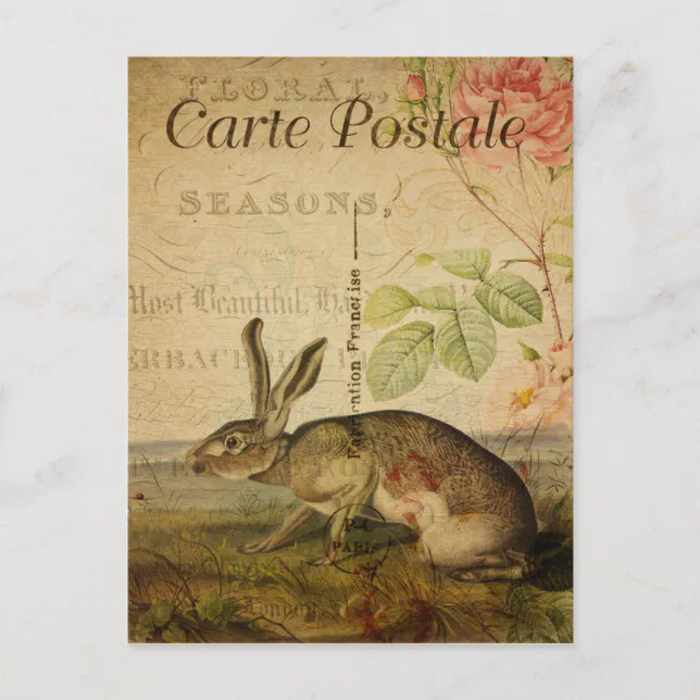 Vintage Style Rabbit French Carte Postale Postcard | Zazzle