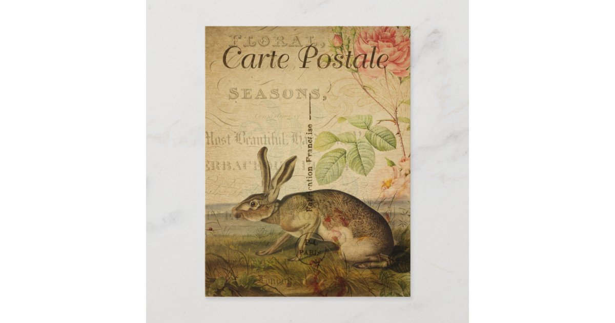 Vintage Style Rabbit French Carte Postale Postcard | Zazzle