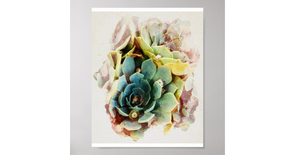 Vintage Succulent Poster | Zazzle