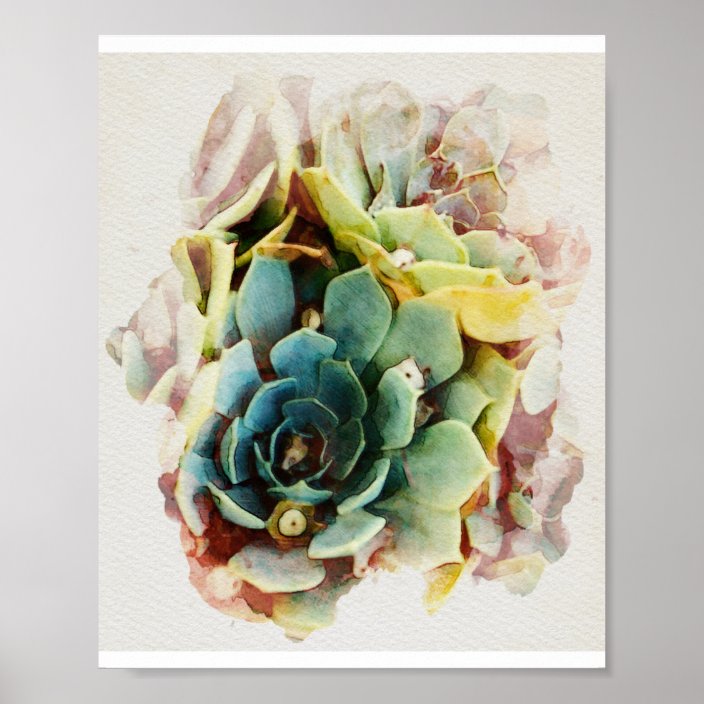 Vintage Succulent Poster | Zazzle.com