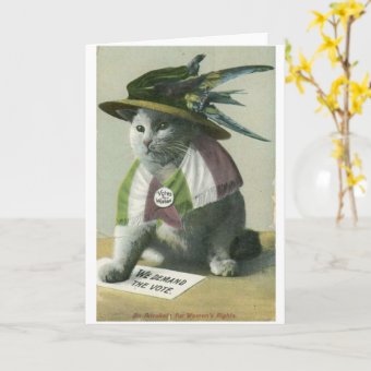 Vintage Suffragette Cat, Card | Zazzle