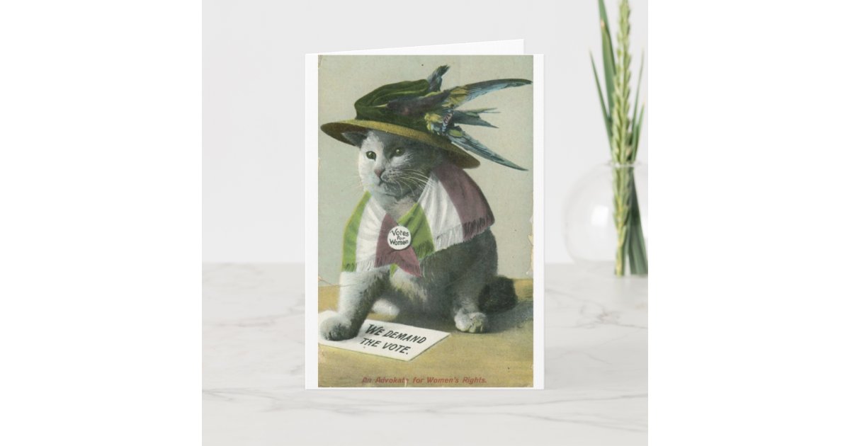 Vintage Suffragette Cat, Card | Zazzle