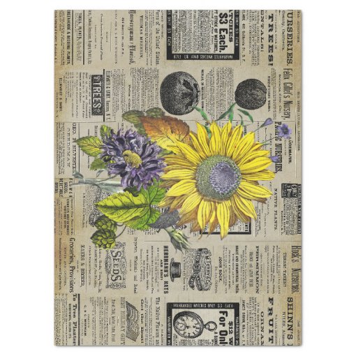 Vintage Sunflower Horticulture Ads Ephemera Tissue Paper | Zazzle