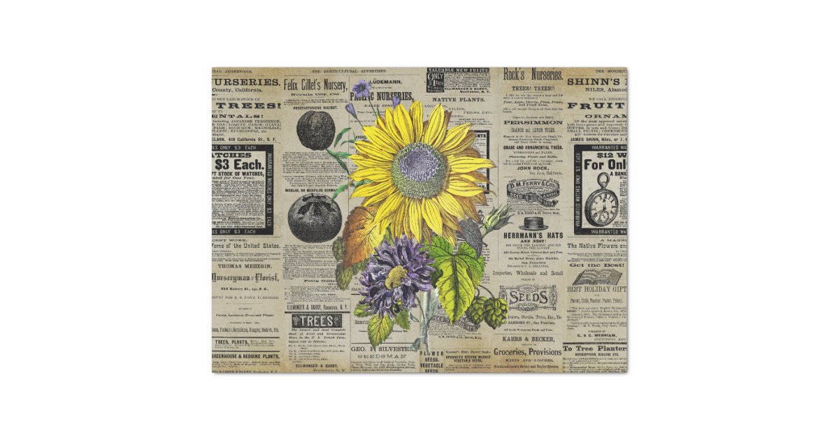 Vintage Sunflower Horticulture Ads Ephemera Tissue Paper | Zazzle