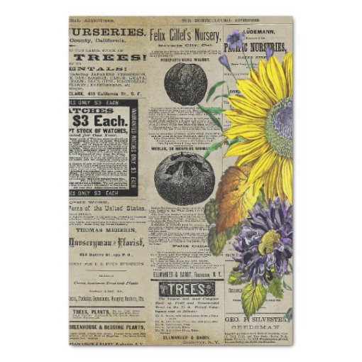 Vintage Sunflower Horticulture Ads Ephemera Tissue Paper | Zazzle