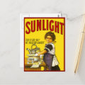 Vintage Sunlight Ad Postcard | Zazzle