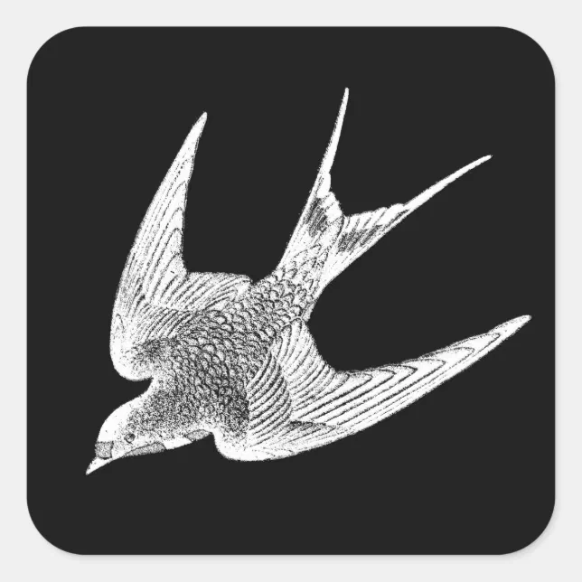 Vintage Swallow Illustration - 1800's Antique Bird Square Sticker | Zazzle