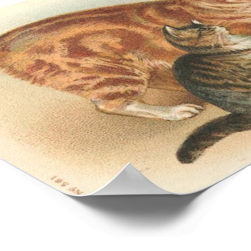 Vintage Tabby Cat With Kittens Poster | Zazzle