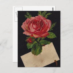Vintage Tea Rose Postcard | Zazzle