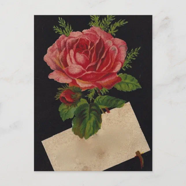 Vintage Tea Rose Postcard | Zazzle