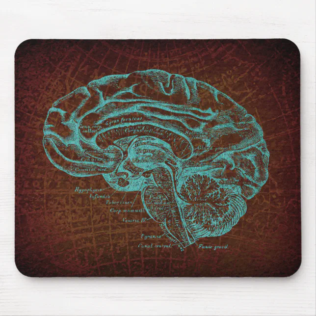 Vintage Teal Brain Diagram Map Style Mousepad | Zazzle