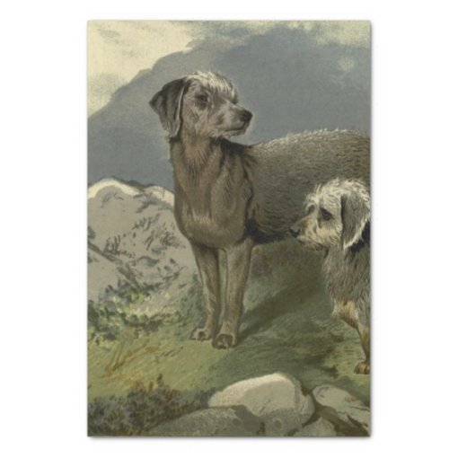 Vintage Terriers Tissue Paper | Zazzle