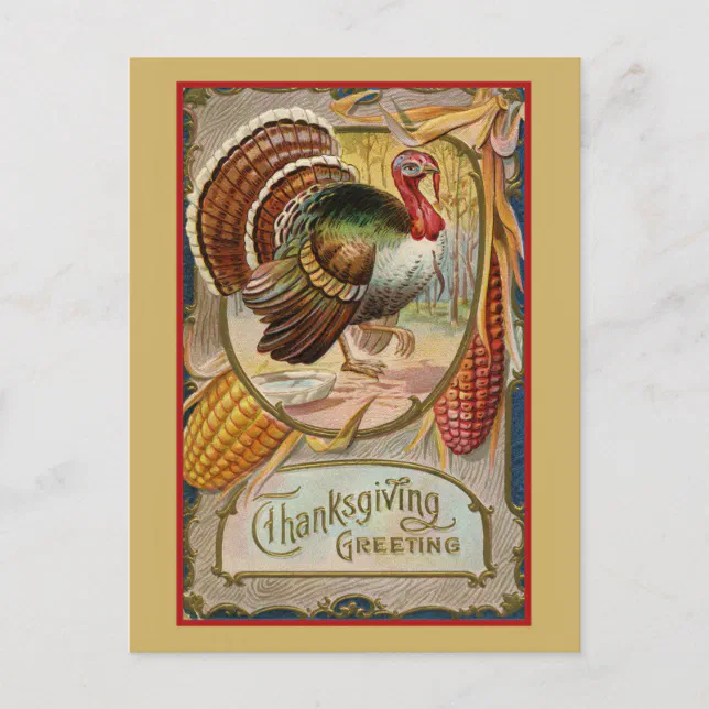 Vintage Thanksgiving Greetings Turkey Postcard | Zazzle