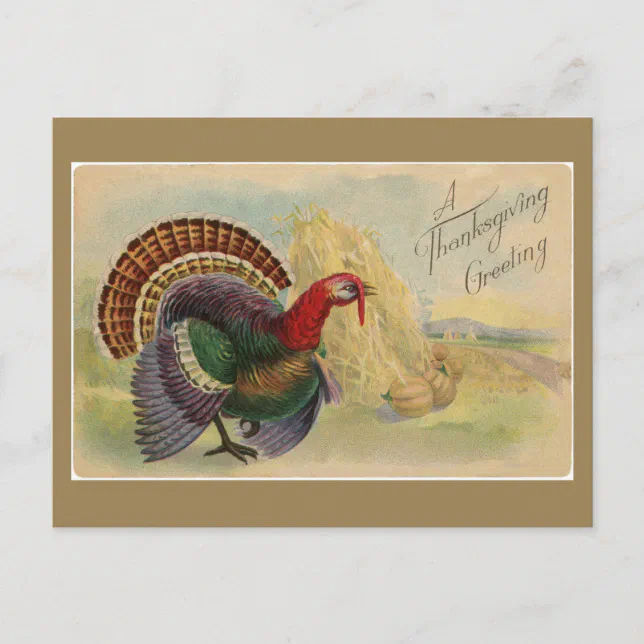 Vintage Thanksgiving Greetings Turkey Postcard | Zazzle