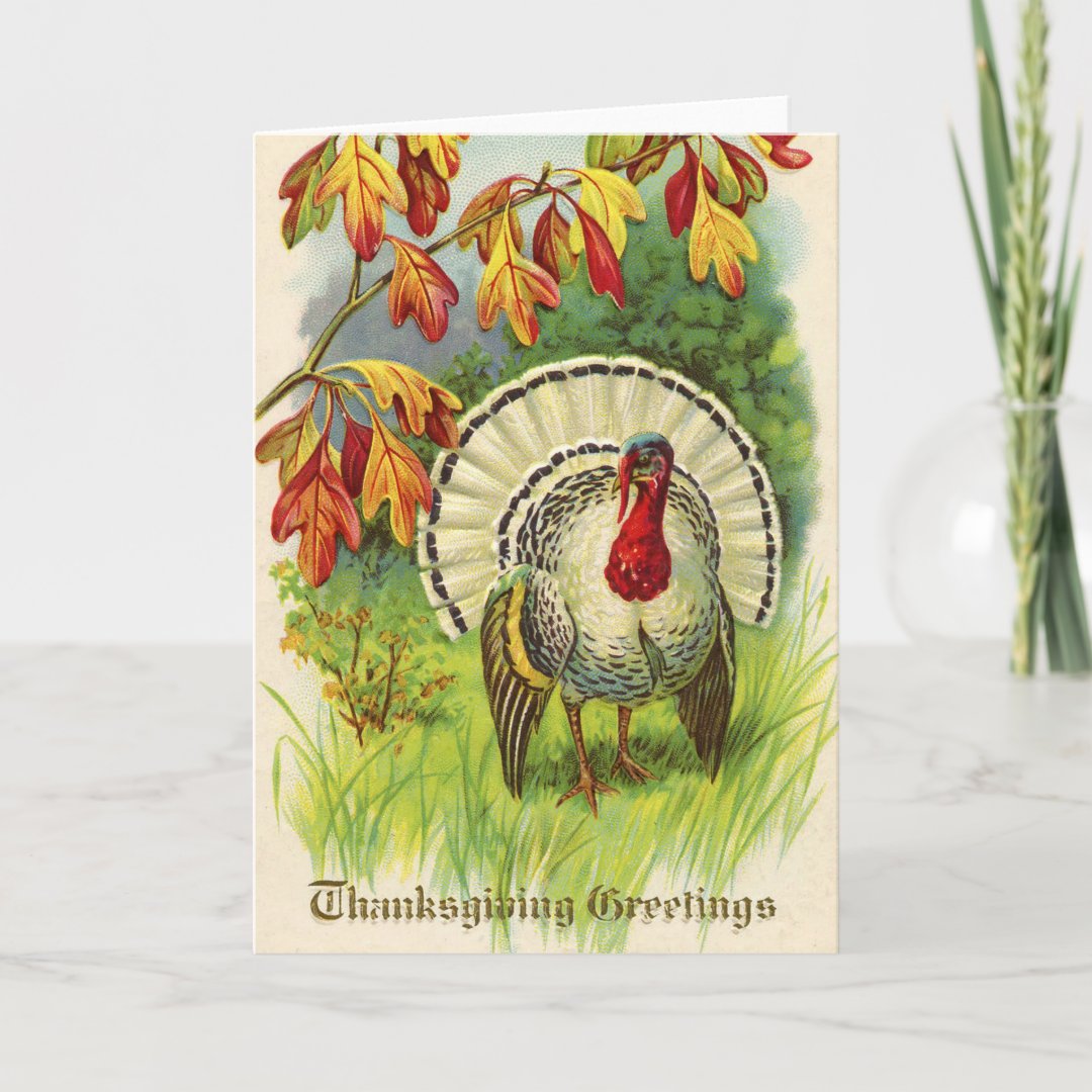 Vintage Thanksgiving Turkey Holiday Card | Zazzle