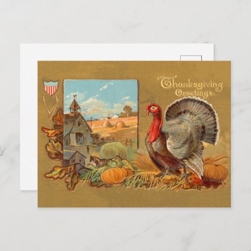 Vintage Thanksgiving Turkey Postcard | Zazzle