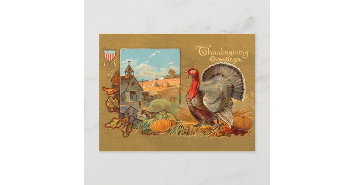 Vintage Thanksgiving Turkey Postcard | Zazzle