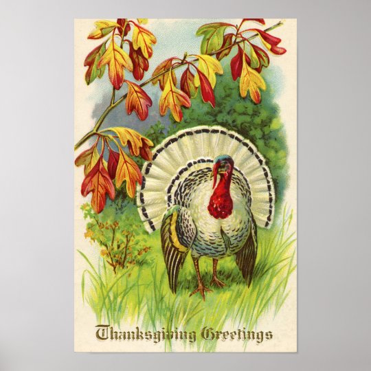 Vintage Thanksgiving Turkey Poster | Zazzle.com