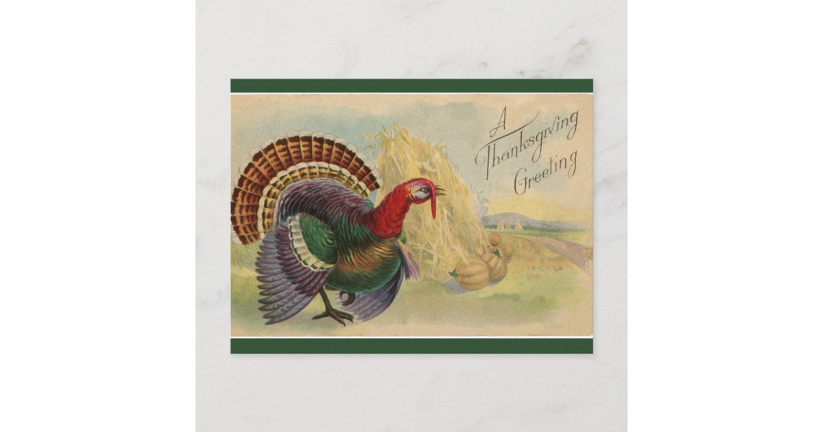 Vintage Thanksgiving Turkeys and Haystacks Postcard | Zazzle