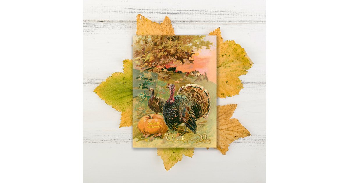 Vintage Thanksgiving Turkeys and Pumpkin Holiday Postcard | Zazzle