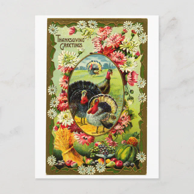 Vintage Thanksgiving Turkeys Postcard | Zazzle