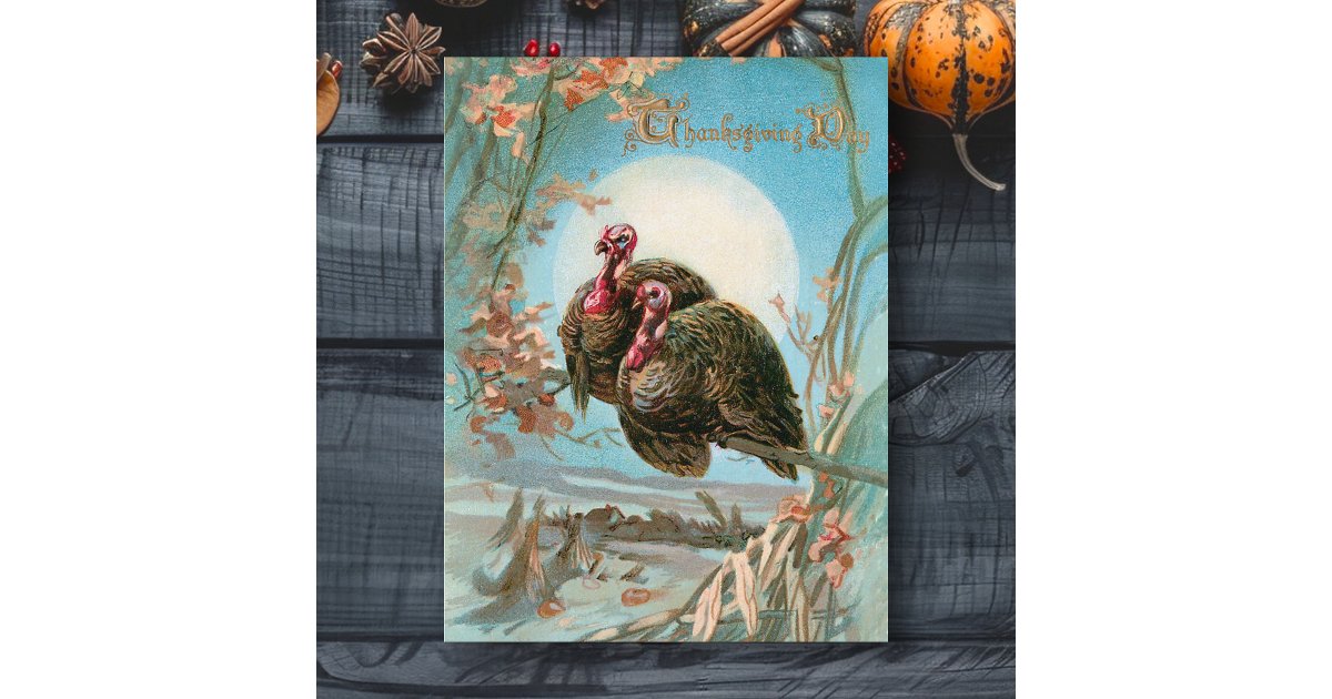 Vintage Thanksgiving Turkeys Under a Full Moon Postcard | Zazzle
