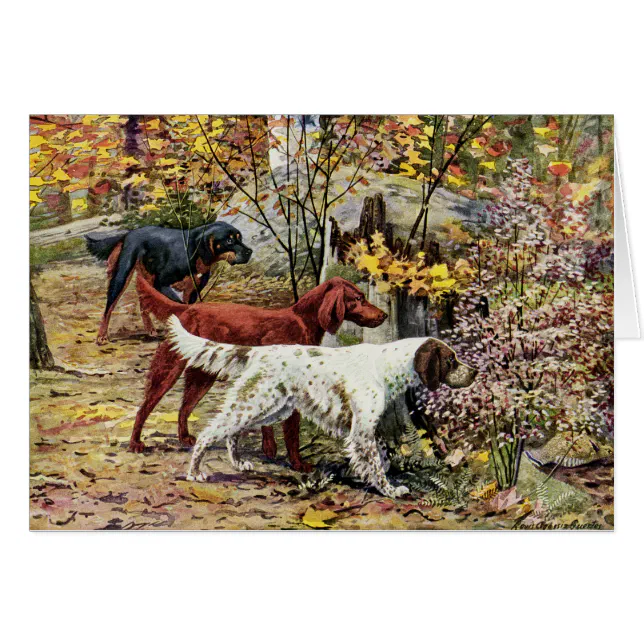 Vintage - Three Setter Dogs in the Woods, | Zazzle