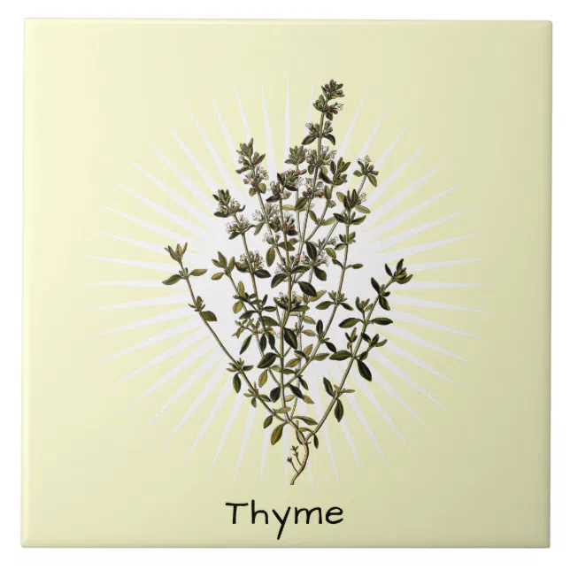 thyme graphics