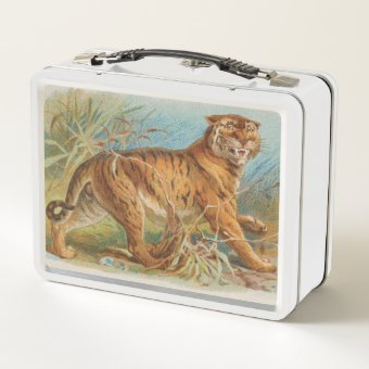 Vintage Tiger Metal Lunch Box | Zazzle