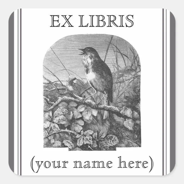 Vintage tiny bird etching bookplate | Zazzle