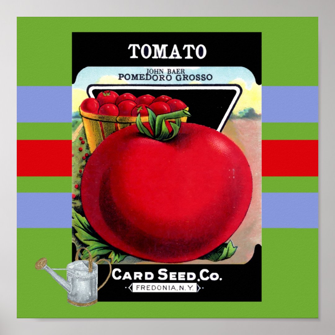 Vintage Tomato Seed Poster | Zazzle