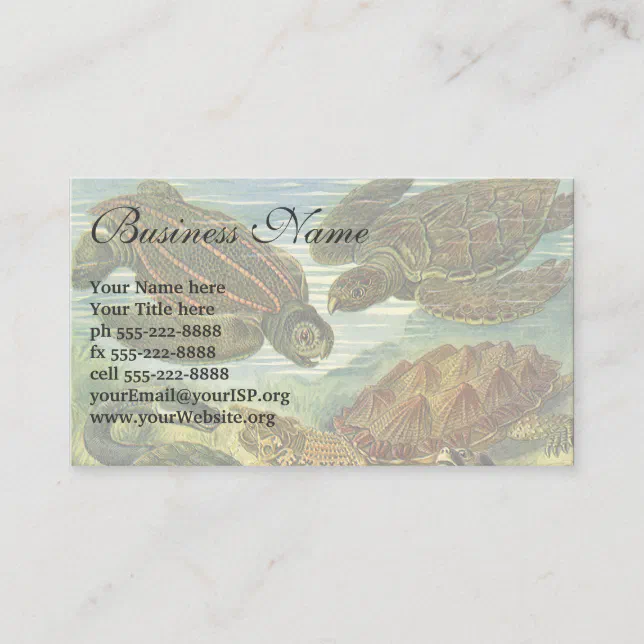 Vintage Tortoises and Sea Turtles by Ernst Haeckel Business Card | Zazzle