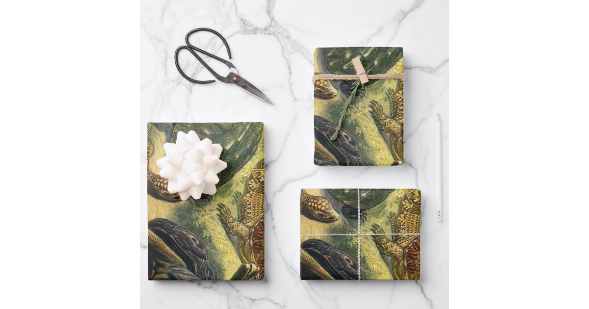 Vintage Tortoises and Sea Turtles by Ernst Haeckel Wrapping Paper ...