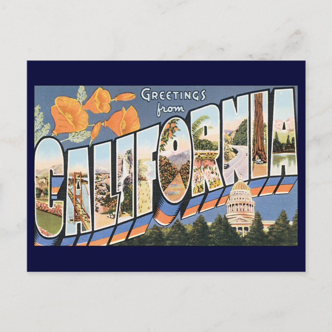 Vintage Travel, Greetings from California Poppies Postcard | Zazzle