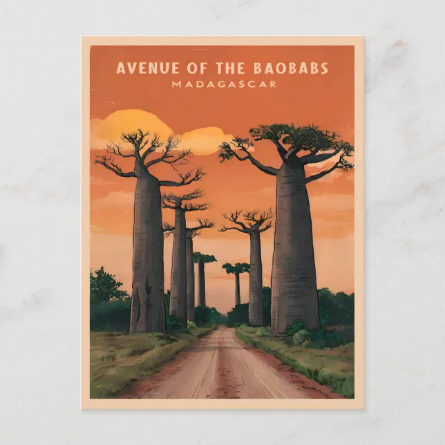 Vintage Travel Madagascar Baobab Trees Landscape Postcard | Zazzle
