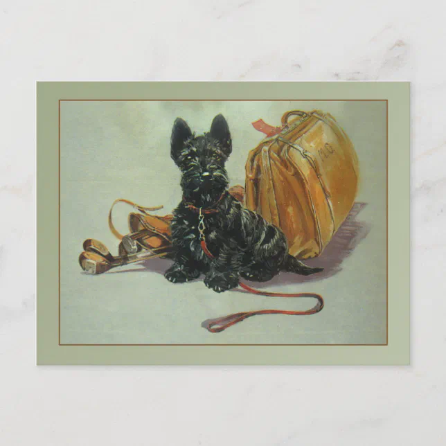 Vintage Traveling Scottie Dog Postcard | Zazzle