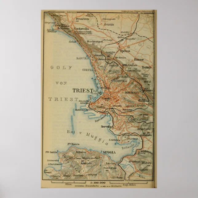 Vintage Trieste Italy Map (1911) Poster | Zazzle