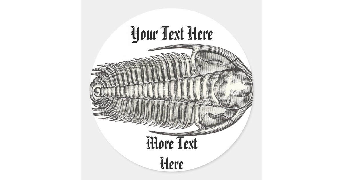 Vintage Trilobite Sticker | Zazzle
