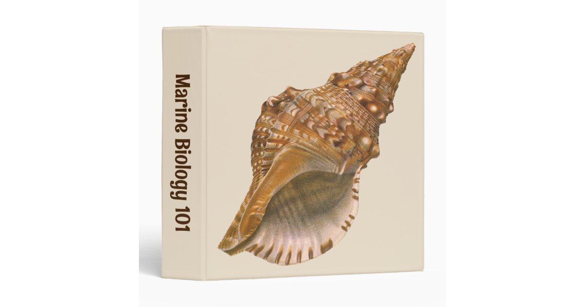 Vintage Triton Seashell Shell, Marine Ocean Animal 3 Ring Binder | Zazzle