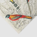 Vintage Tropical Birds of Paradise Decoupage Tissue Paper | Zazzle