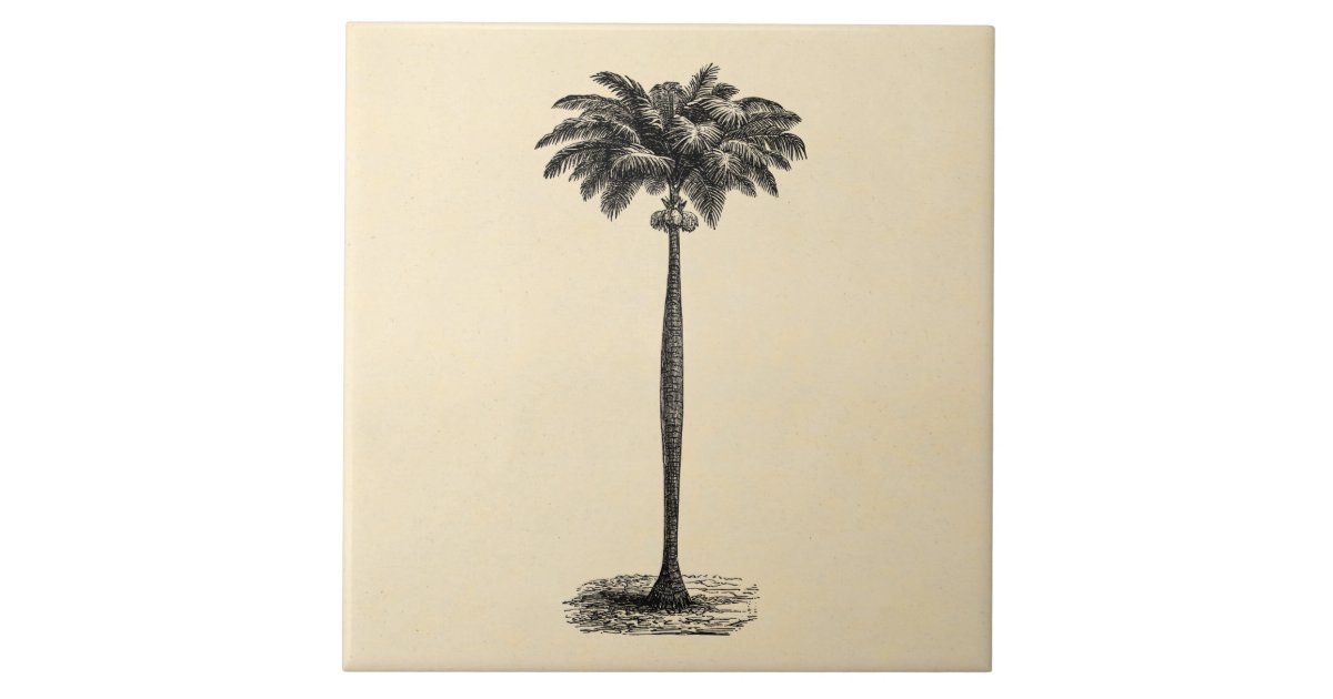 Vintage Tropical Island Palm Tree Template Blank Tile | Zazzle