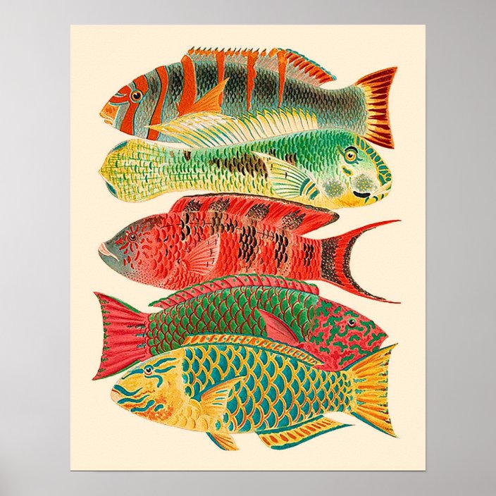 Vintage tropical ocean fish poster | Zazzle.com