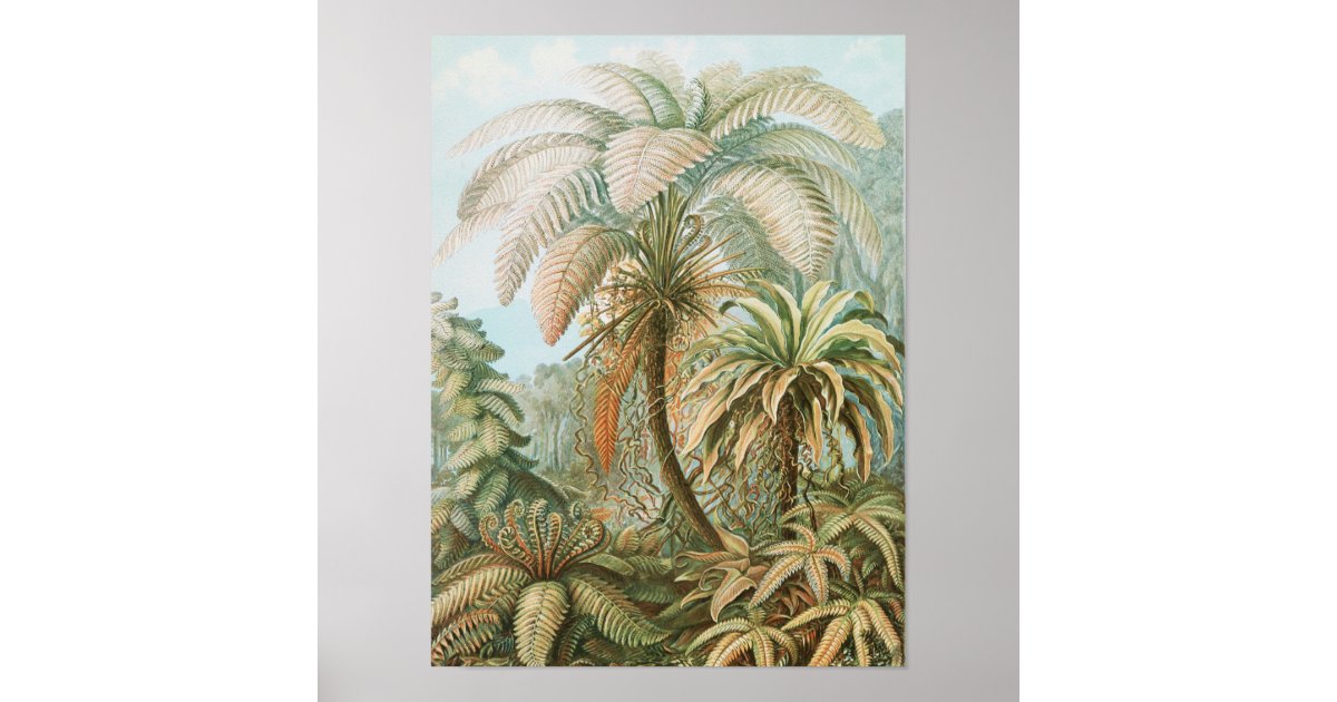 Vintage Tropical Palm Tree, Retro Botanical Poster | Zazzle