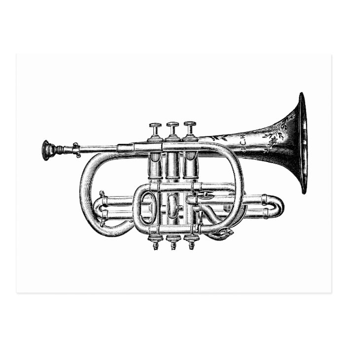Vintage Trumpet Wood Engraving Postcard | Zazzle.com